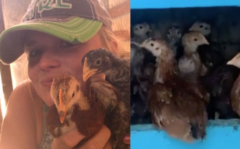 Miranda Lambert Introduces Her Chickens Including Martina McFried ...