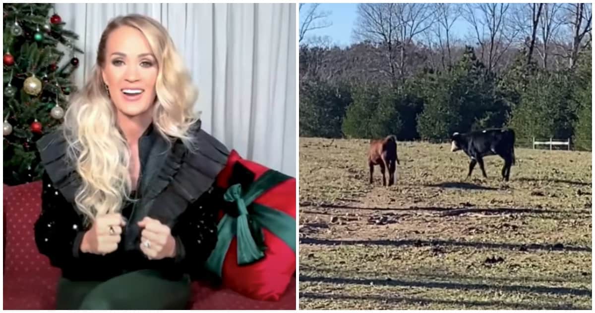 Carrie Underwood Reveals What Her Son Named Their New Cows and What ...
