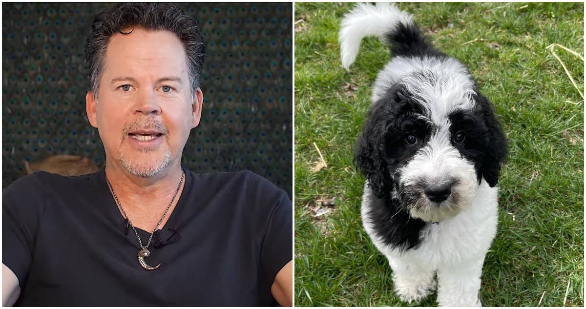 Gary Allan Introduces Fans To His New Puppy Who's Named After a Country ...