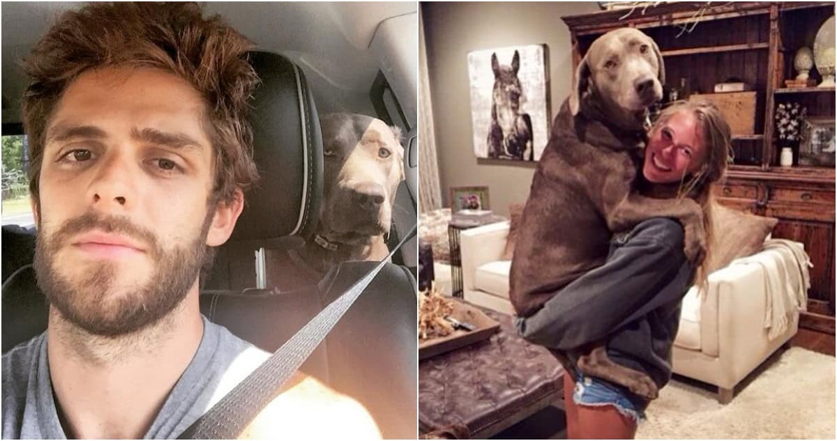 Thomas Rhett Shares Heartbreaking Tribute After the Loss of His Beloved ...